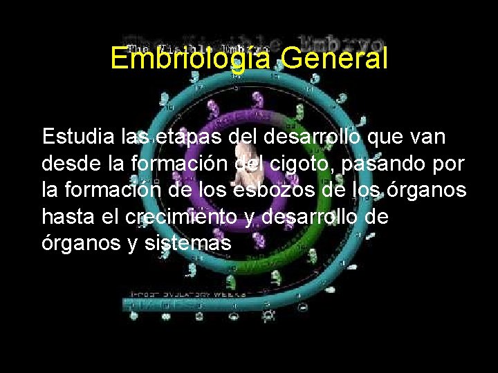 Introduccin a la embriologa del sistema nerviosos central
