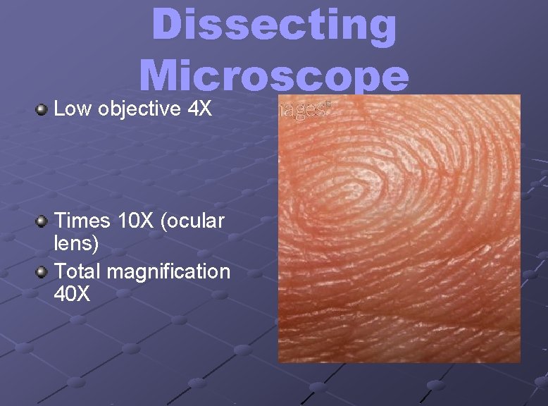 Dissecting Microscope Low objective 4 X Times 10