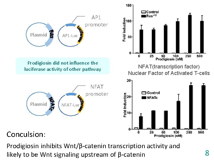Prodigiosin inhibits Wntcatenin signaling and exerts anticancer activity