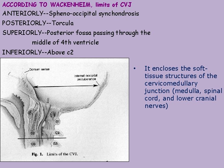 CRANIOVERTEBRAL JUNCTION ANOMALIES BY DR SURAJ SONWANEJRIII UNDER