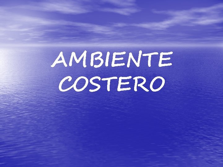 AMBIENTE COSTERO PLAYA DISIPATIVA PLAYA REFLECTIVA ZONACIN DEL