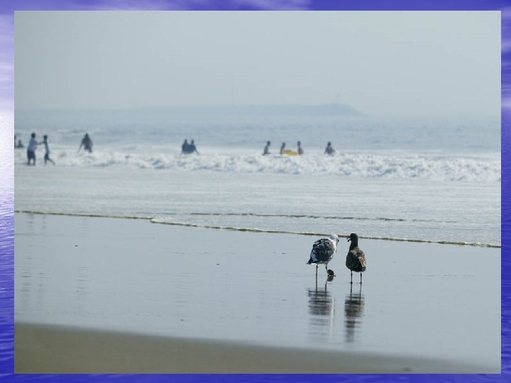 AMBIENTE COSTERO PLAYA DISIPATIVA PLAYA REFLECTIVA ZONACIN DEL