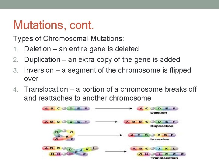 UNDERSTANDING HEREDITY Part 2 MUTATIONS Mutations Genes code