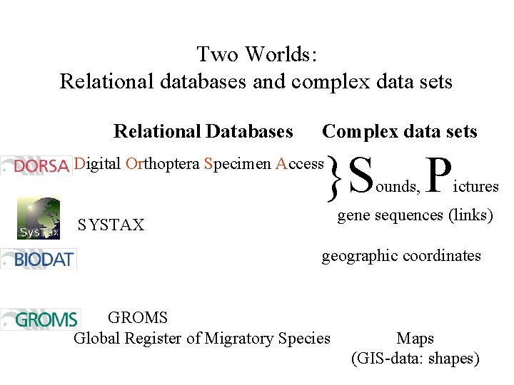 Increasing Usability of Biodiversity Databases through Semantic Enrichment