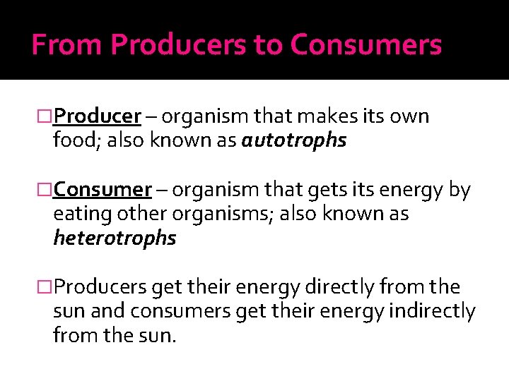 5 1 Energy Flow in Ecosystems Warm Up