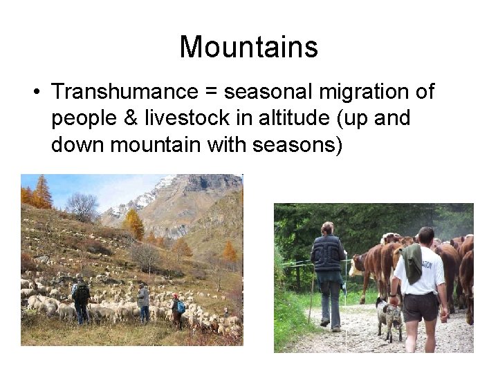 Mountains Built by geological processes and thus concentrated