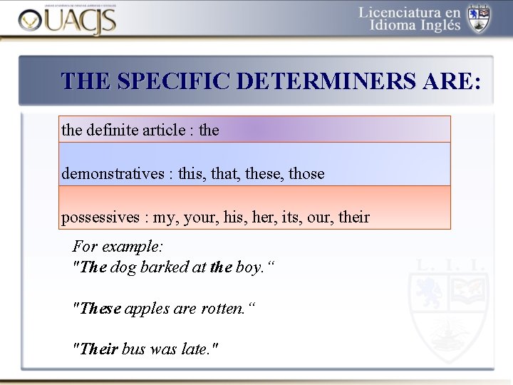 Articles Determiners and Quantifiers DEFINITION AND USE WHAT