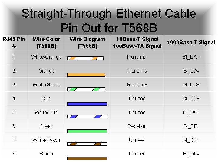 Network Anatomy By Roland J Boutte Ethernet Cable