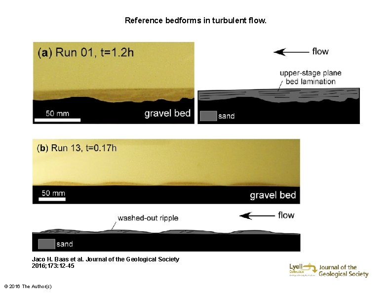 Predicting bedforms and primary current stratification in cohesive