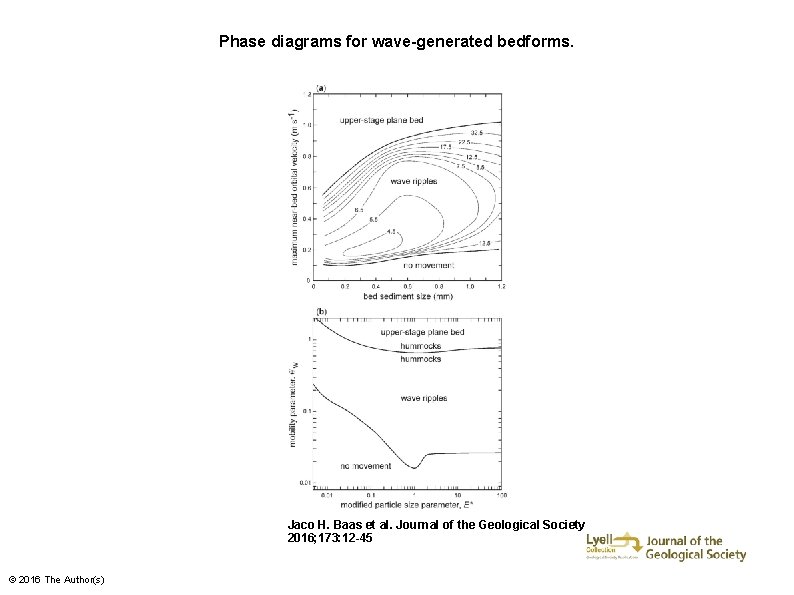 Predicting bedforms and primary current stratification in cohesive