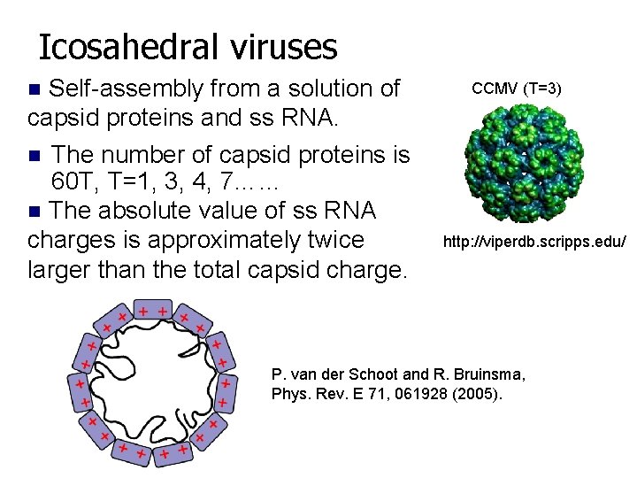 Electrostatic theory of viral selfassembly Tao Hu Rui