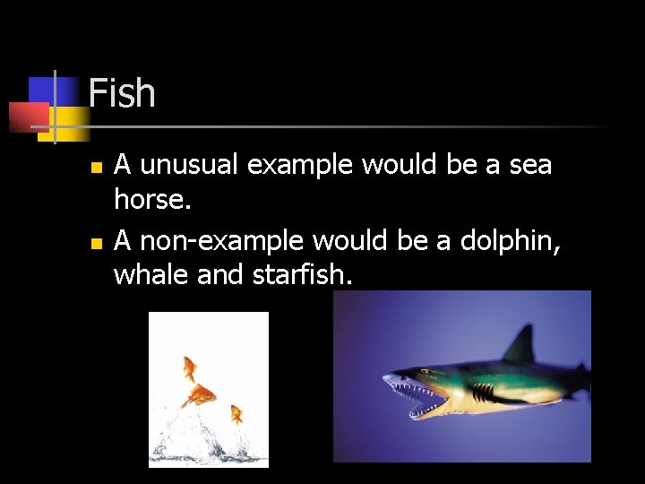 The 5 Classes of Vertebrates Unit 11 Fish
