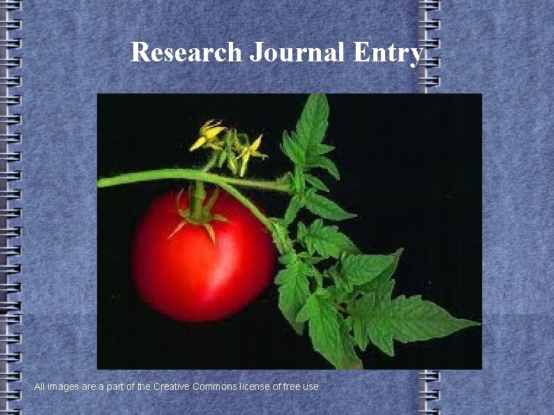 Research Journal Entry All images are a part
