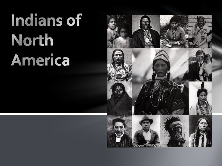 Three Types of Cultural Levels in North America