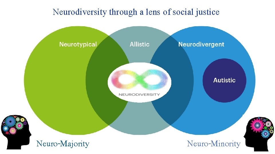 CONNECTIONS BETWEEN SENSORY SENSITIVITIES IN AUTISM the Importance