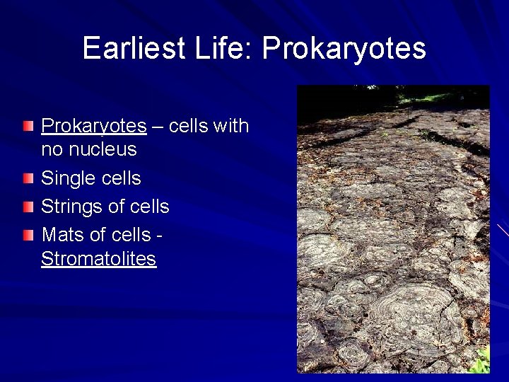 Mile Markers in Deep Time A Brief History