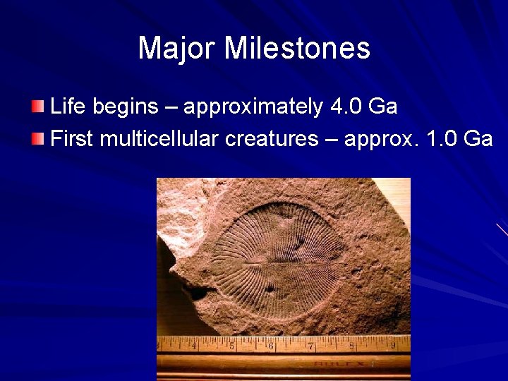 Mile Markers in Deep Time A Brief History