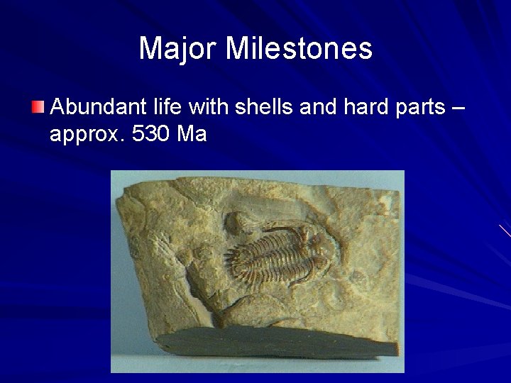 Mile Markers in Deep Time A Brief History