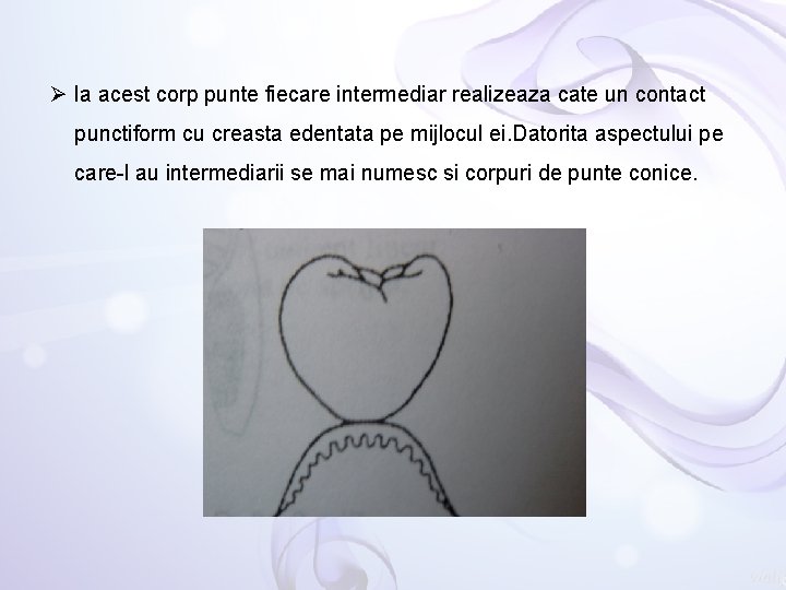 CORPUL DE PUNTE CURSUL VI TEHNOLOGIA CONFECTIONARII PRITEZELOR