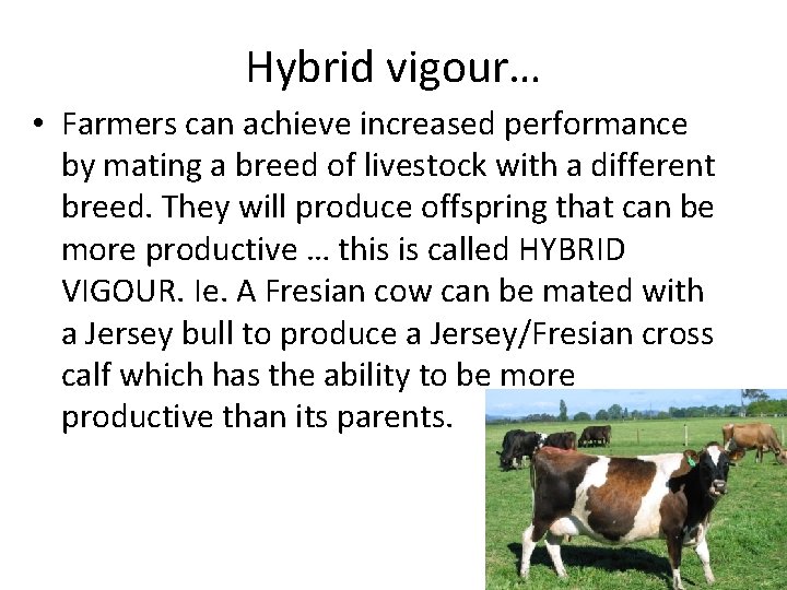 Growth and development Part two Genetic factors breeds