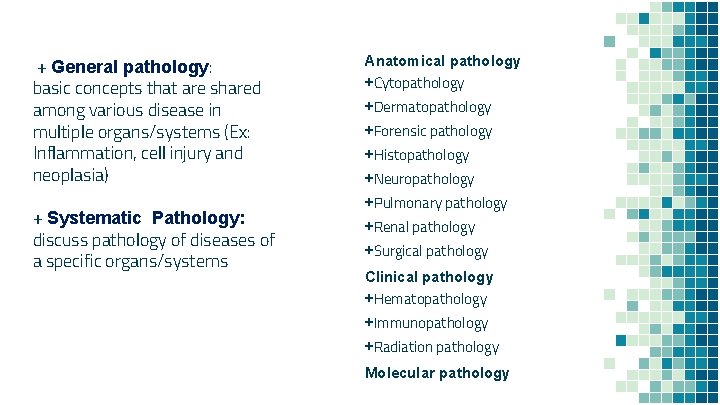 Introduction to pathology Ghadeer Hayel MD So what