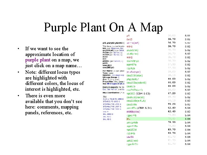 An overview of the Maize GDB project and