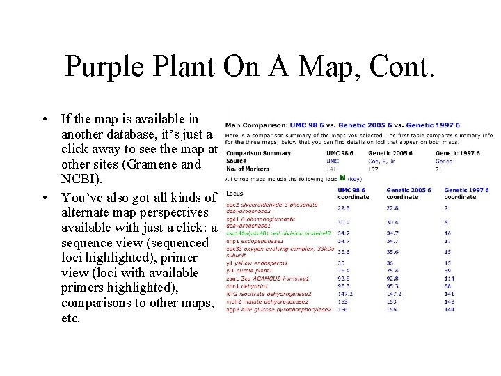 An overview of the Maize GDB project and