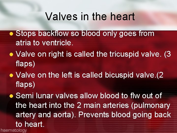 The Heart and Blood Vessels Recap on the
