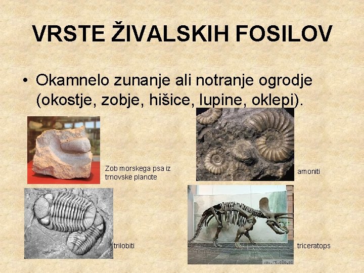 FOSILI PALEONTOLOGIJA Je veda ki prouuje iva bitja