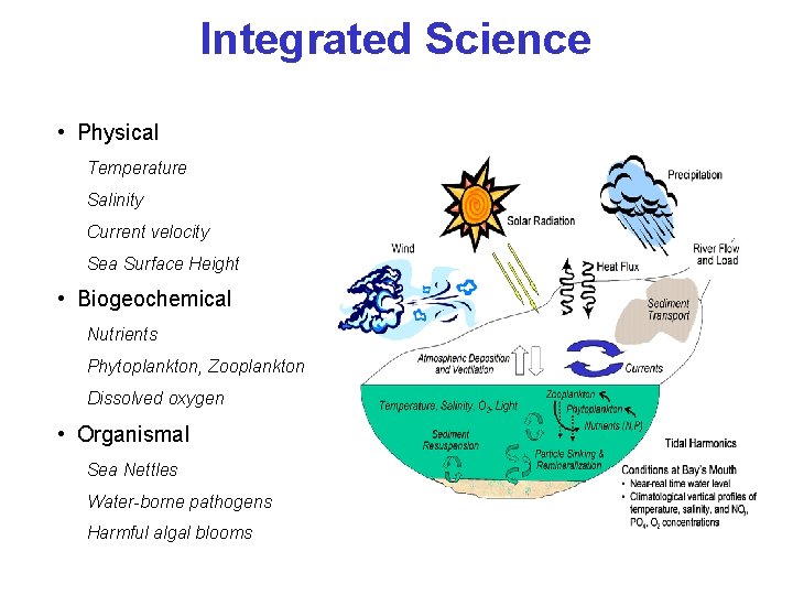 Transitioning a Chesapeake Bay Ecological Prediction System to