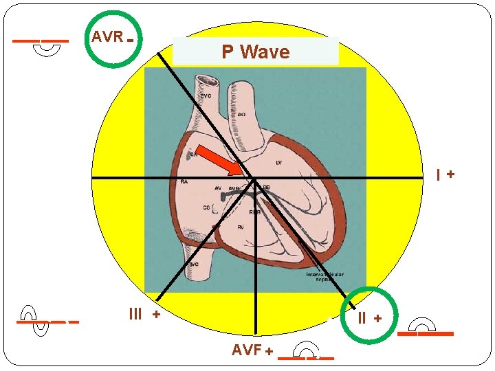 Elektrokardiografi EKG Normal Conduction System SA node Sumber