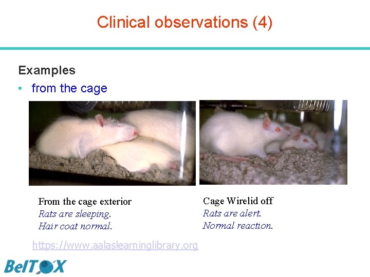 Beltox Advanced Toxicology Seminar Clinical and other observations