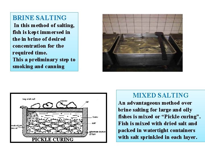 SALTING AND DRYING THEORY OF SALTING AND DRYING