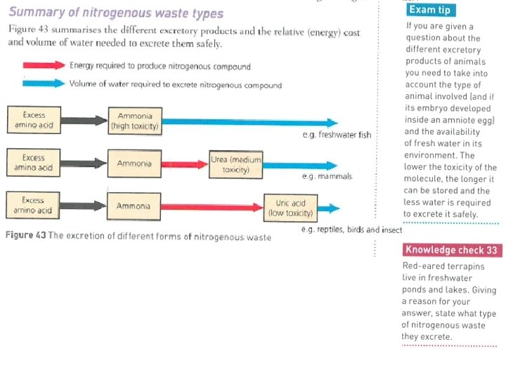 Homeostasis Nod To understand the 3 main parts