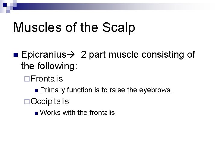 The Muscular System Muscles in the Body There