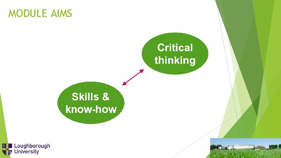 20 BSC 115 International Marketing Professor Anne Souchon