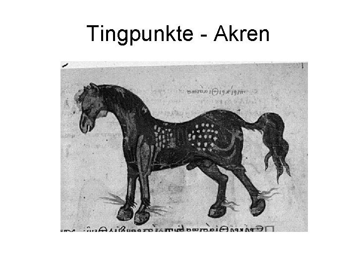 Curriculum Akupunktur und Neuraltherapie 1 2013 Fieberbrunn Geschichte