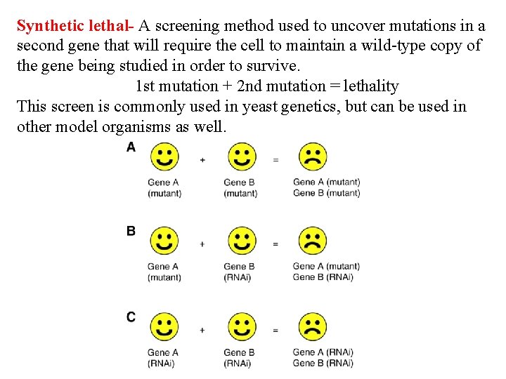 Synthetic lethal A screening method used to uncover