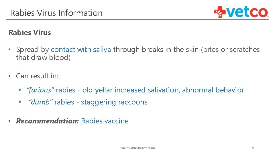 Preventable Diseases General Virus Information An overview of