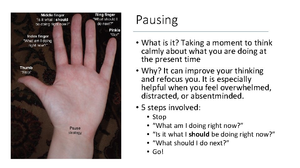 BRAIN BOOST WORKSHOPS Task Persistence and SelfMonitoring Amanda