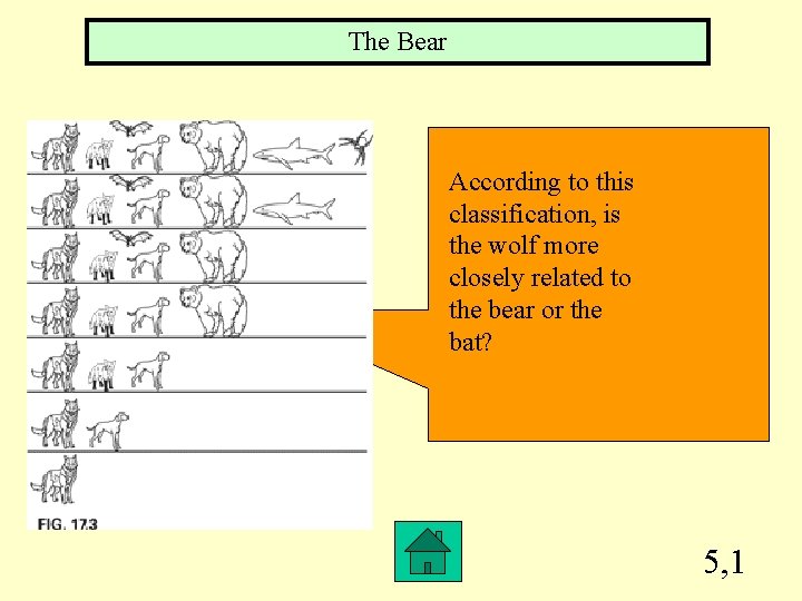 Classification Bacteria Virus Protista 100 100 200 200