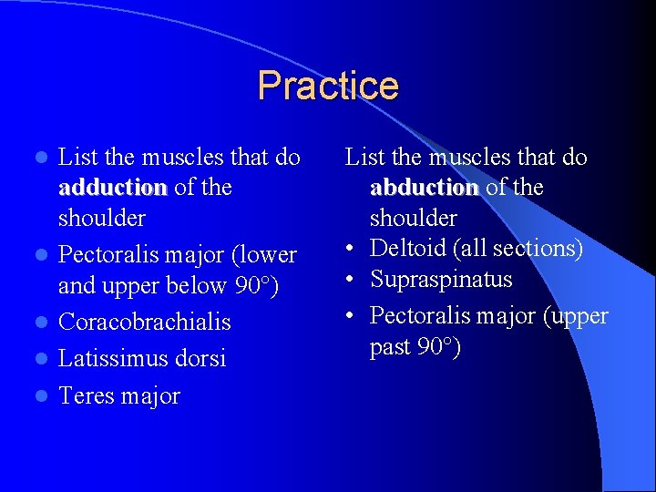 SHOULDER REGION MUSCLES Coracobrachialis Adduction of the shoulder