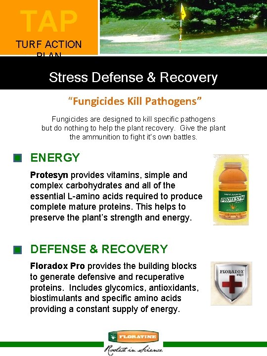 TAP TURF ACTION PLAN Stress Defense Recovery Fungicides