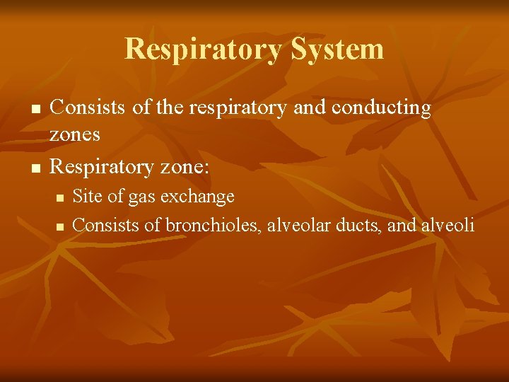 Respiratory System n n Consists of the respiratory