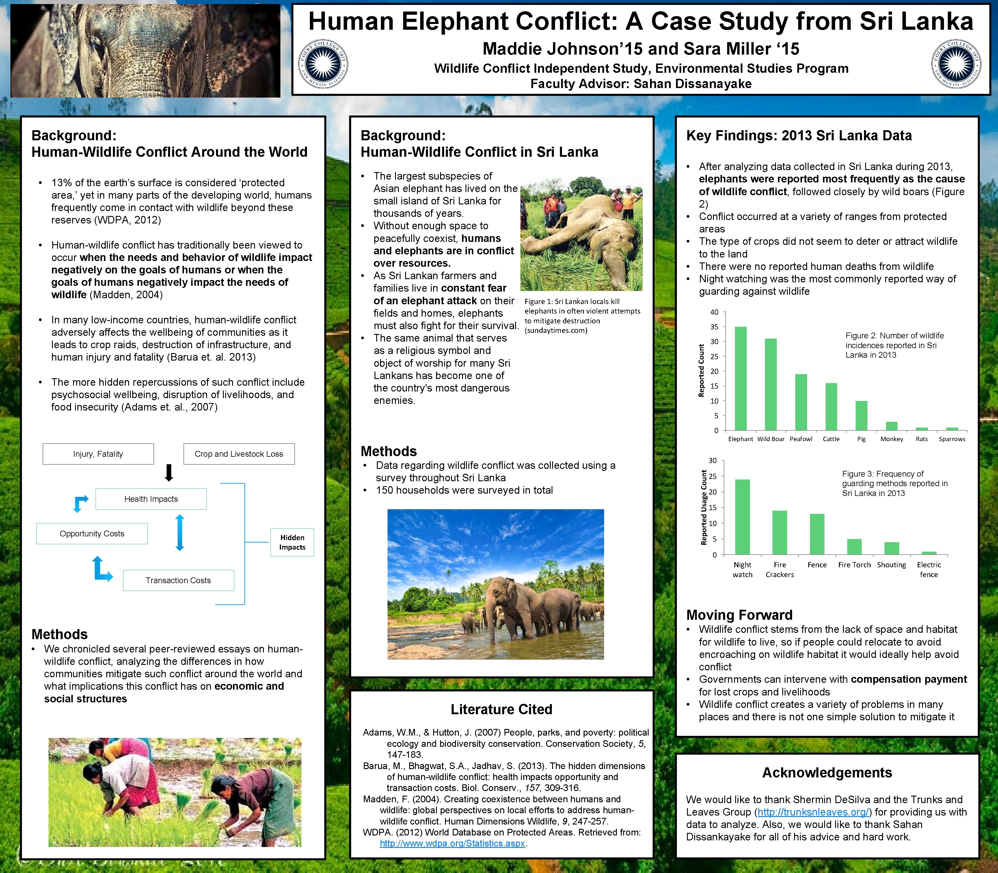 Human Elephant Conflict A Case Study from Sri