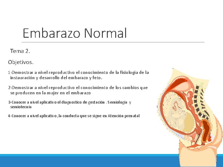EMBARAZO NORMAL ATENCIN PRENATAL RIESGO OBSTETRICO DRA MARGARITA