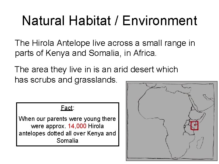 THE HIROLA ANTELOPE BY ISHAN RAMAWICKRAMA AND LUCAS