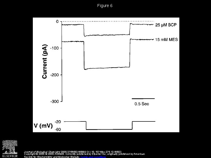 Mechanism for Proton Conduction of the M 2