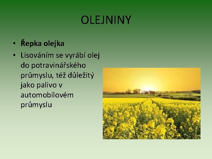 BRUKVOVIT BRUKVOVIT Byliny s oboupohlavnmi tyetnmi kvty Hospodsky