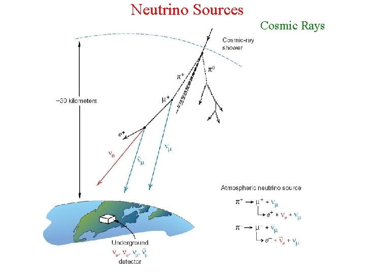 The Elementary Particles The Basic Interactions of Particles